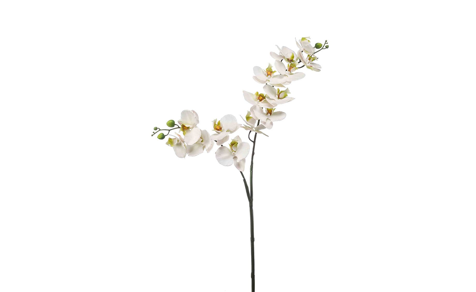 Veštački Cvet Phalaenopsis 100cm Emmezeta Webshop